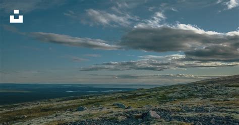 흐린 하늘 아래 바위와 풀이있는 언덕 사진 Unsplash의 무료 숲 이미지