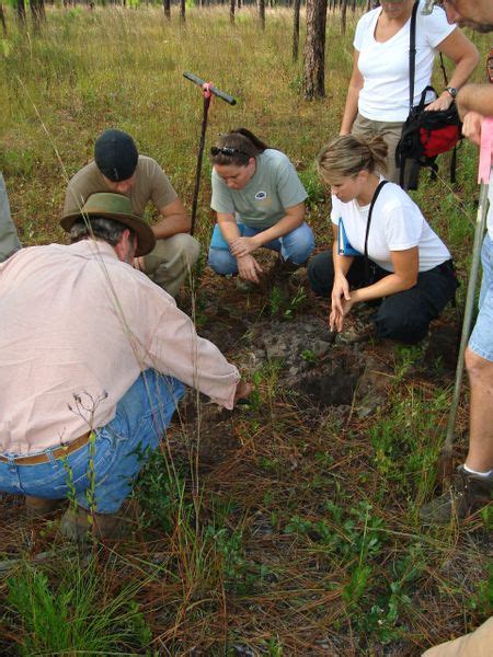 Advanced Hydric Soils Atypical Wetlands And Hydrology Coastal Plain