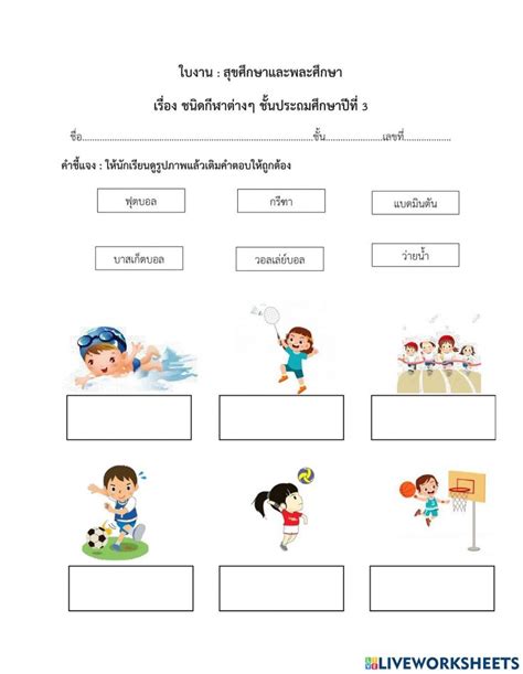 ใบงาน สุขศึกษาและพละศึกษา Worksheet School Subjects Workbook Teachers