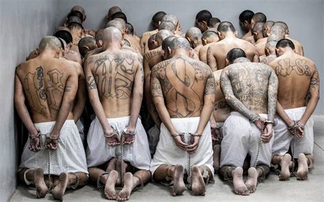¿qué Consecuencias Tiene En Al La Llegada De Pandilleros Que Huyen De El Salvador Tras Arrestos