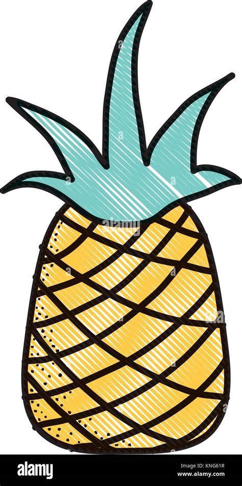 Grated Delicious Pineapple Fresh And Healthy Fruit Stock Vector Image