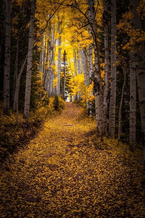 Najnowsze Inspiracje Z Media Cache Ec Pinimg Com Na Stylowi Pl