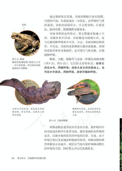 第五节 两栖动物和爬行动物 2013年审定人教版八年级生物上册高清 中学课本网