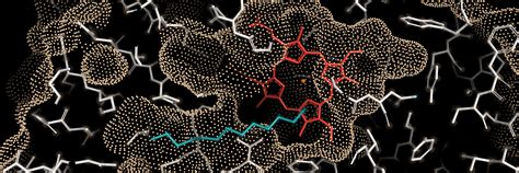 Newly Discovered Enzyme Can Produce Hydrocarbons Precursor Molecules