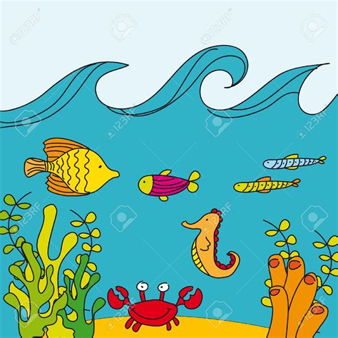 Marine Ecosystem Drawing At Getdrawings Free Download