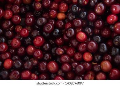 Capulines Fruit
