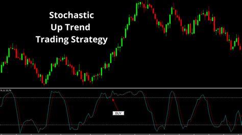 Lt Stochastic Ea Buy Trading Robot Expert Advisor For Metatrader 5