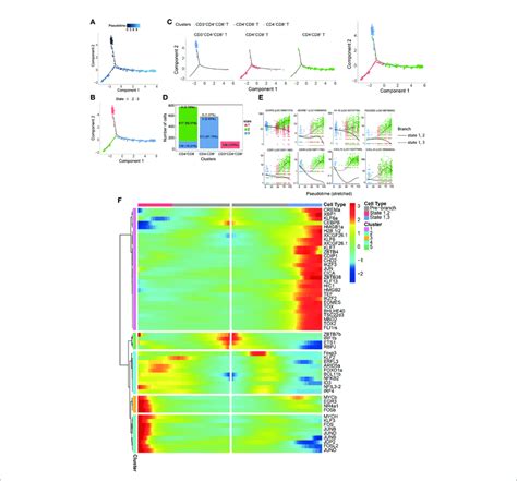 Pseudo Temporal Analysis Of T Cell Development With Monocle A