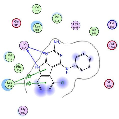 Ligand Interaction Plot Of The Docked Pose Of Compound 3 In Vegfr 2