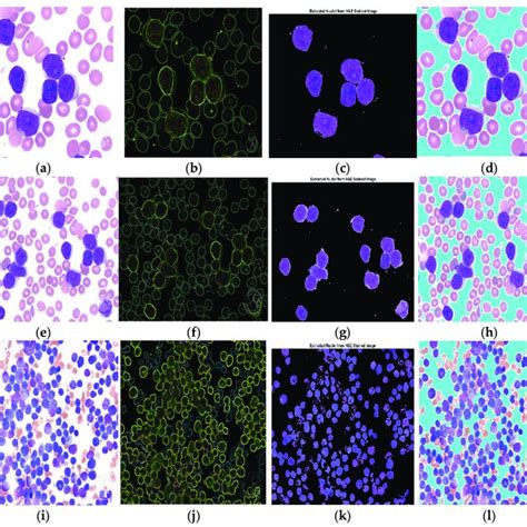 Output Of L A B Projected K Means Clustering K 3 Algorithm Download Scientific Diagram