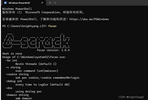 【fscan】windows环境下的fscan安装与使用指南 Csdn博客