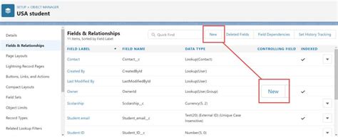 Salesforce Percentage Field