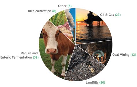 Impact Of Methane Output From Various Sources 2024 Updated