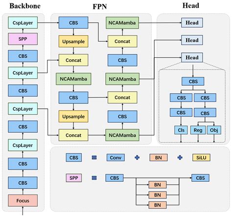 Facial Expression Recognition You Only Look Once Neighborhood