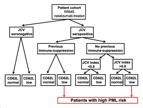 Suggested Pml Risk Stratification Algorithm Download Scientific Diagram