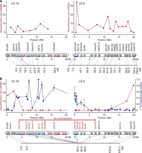 Recombination Rates Red And Genetic Linkage Maps For Lgs 19 And 9 In