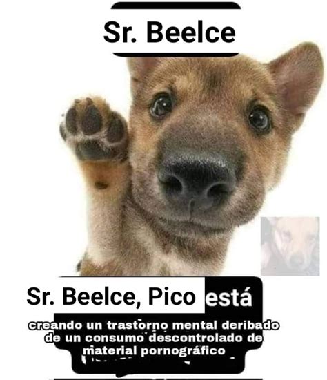 🫵 Pico Deja El Porno Rbeelcitosmemes