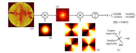 The Determination Of The Distribution Of Crack Orientation From Left