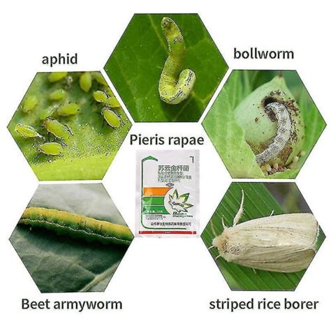 3packs 50g Bacillus Thuringiensis Vegetable Fruit Tree Biopesticide