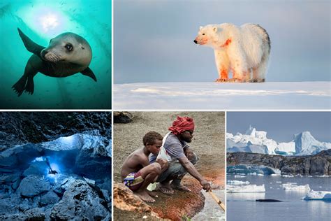 Issue 41 Holdfast To The Canopy Oceanographic