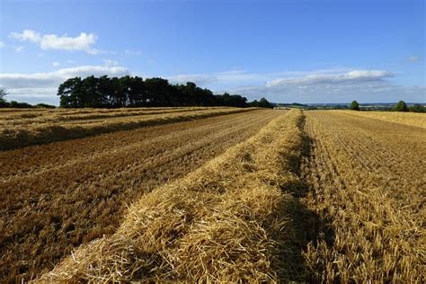 Farmland Everdon © Andrew Smith Cc By Sa20 Geograph Britain And