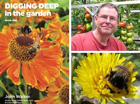 Top Uk Garden Bloggers In 2016 Uk