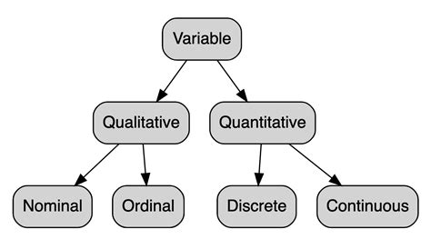 Quantitative Data Definition Math At Ronald Wray Blog