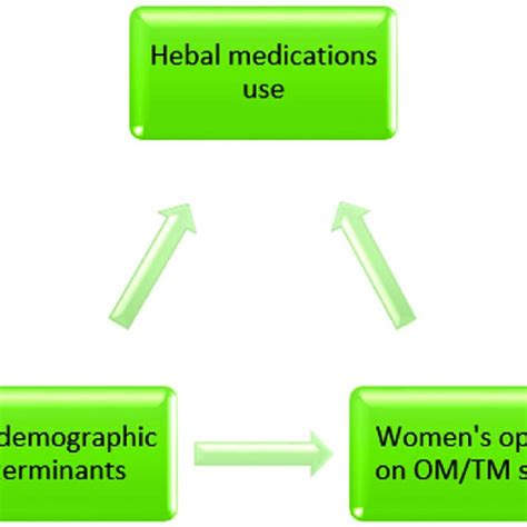 Relationship Between Sociodemographic Factors Womens Om Tm Safety Download Scientific Diagram