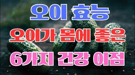 오이효능 오이가 몸에 좋은 6가지 건강상의 이점 혈당 조절 염증과 심장병 암과 같은 만성 질환의 원인자유 라디칼과 싸웁니다 Youtube