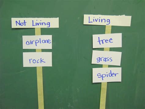 Schwakida School Of Thought