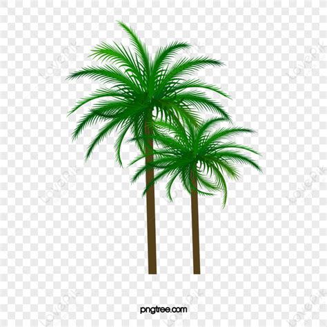 열대 코코넛 나무 일러스트코코넛 잎모래모래 사장 Png 일러스트 무료 다운로드 Lovepik