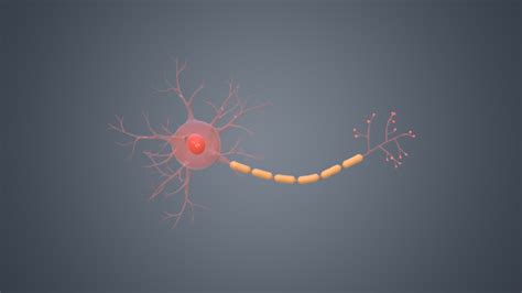 火花学院 科学可视化教学内容与工具库