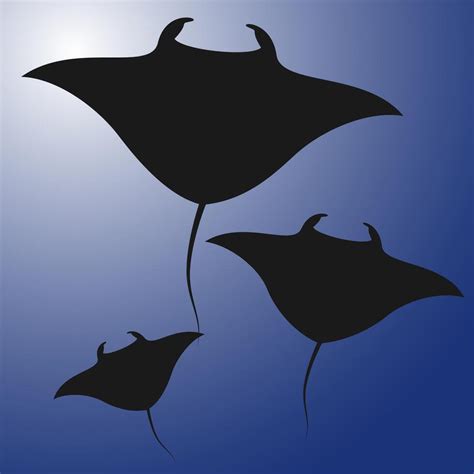 Stingray Icon Manta Ray Black Silhouette Isolated On Blue Background