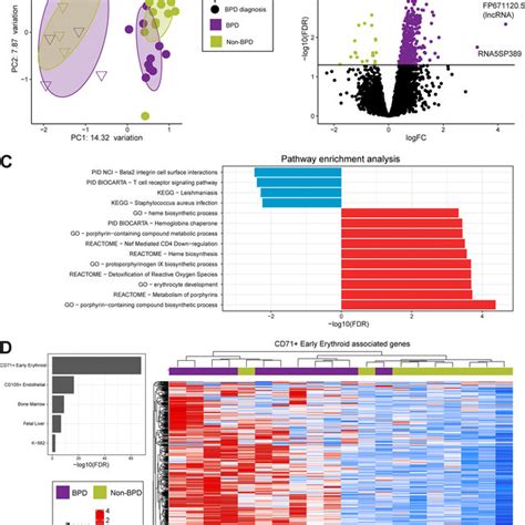 RNA Seq Was Used To Profile Gene Expression In Peripheral Blood Samples Download Scientific