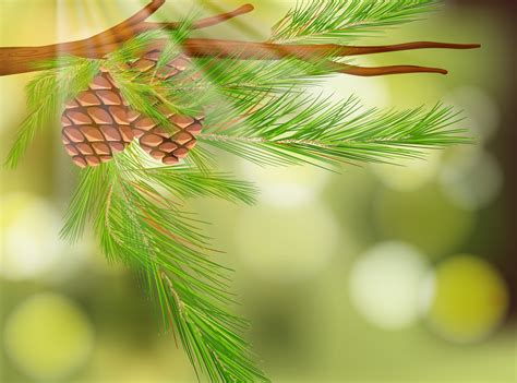 Pine Cone On Natural Green Background 302505 Vector Art At Vecteezy
