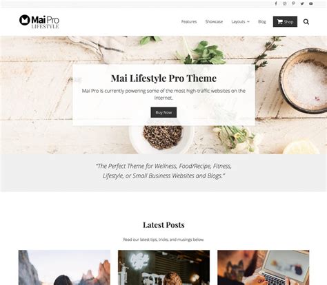 Genesis Framework Wordpress Themes For Bloggers Sue Foster Money