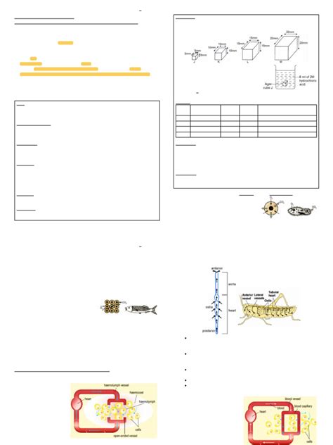 chapter 10 pdf