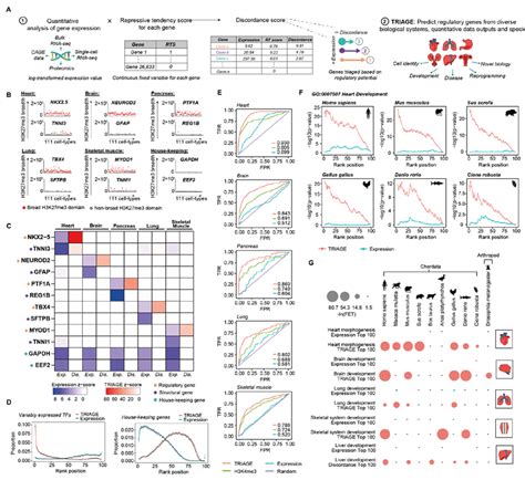 inferring cell type specific regulatory genes from somatic cell types