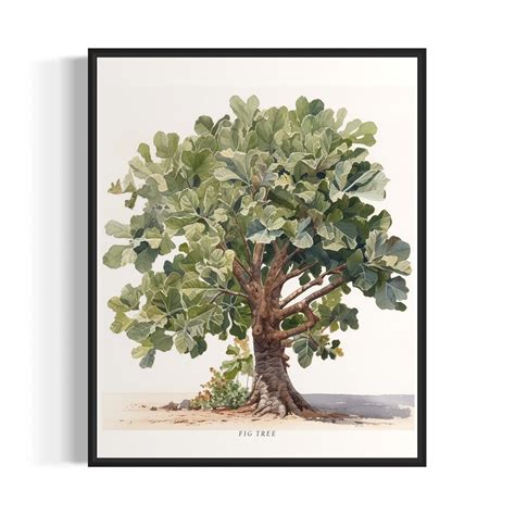 Fig Tree Art Print Fig Tree Wall Art Poster Etsy