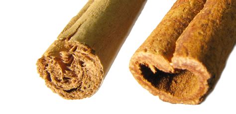 Alles Was Man über Cassia Und Ceylon Zimt Wissen Muss