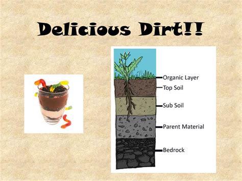 3 Layers Of Soil Topsoil Subsoil Bedrock