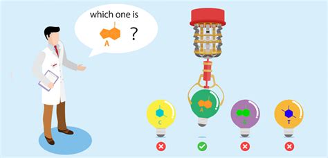 Dna Computers Vs Quantum Computers