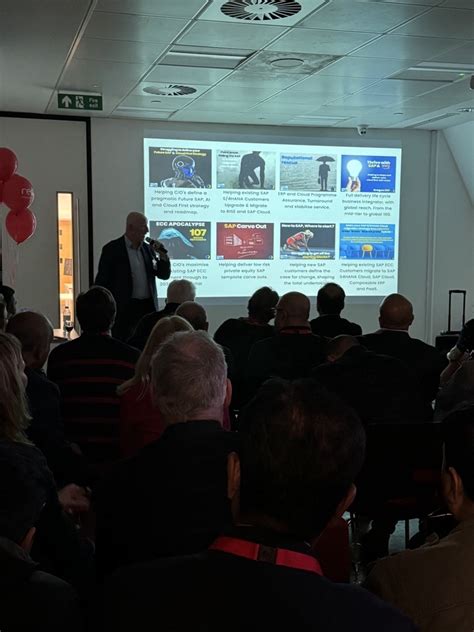 Functional Vs Technical Sap Consultants Understanding The Roles And Responsibilities Red