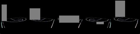 How To Random Erasing With Black Box Pytorch Forums