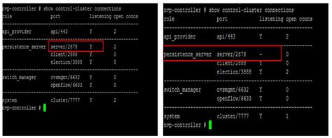 VMware NSX Installation Part Checking NSX Controller Status