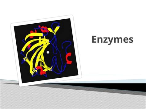 Enzymes Introduction And Classification Ppt