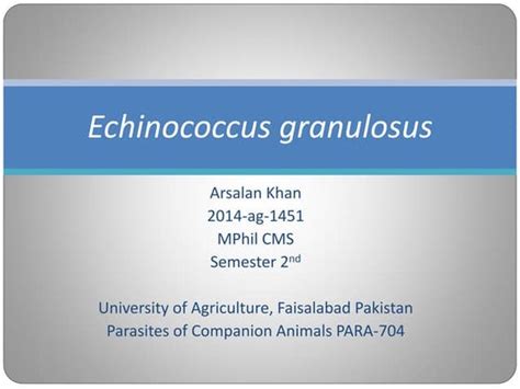 F Buski Ppt Medical Health