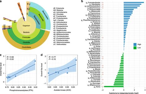 Taxon Specific Lysine Acetylation In Human Gut Microbiome A Sunburst