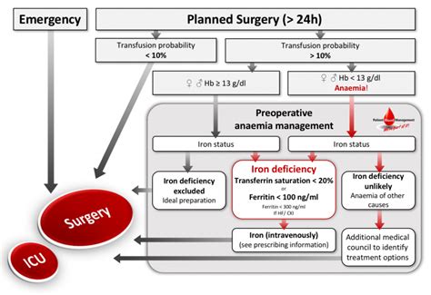 Medical Rationale Patient Blood Management
