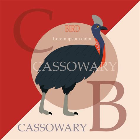 Poster Banner With Cassowary Bird And Text Poster Layout Design